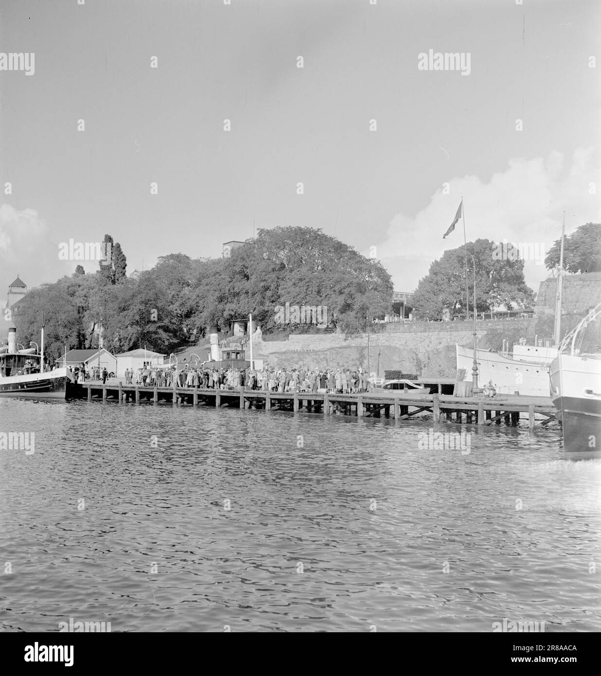 Actual 16-1950: The fjord's included swansSteamboats in the Oslofjord ...