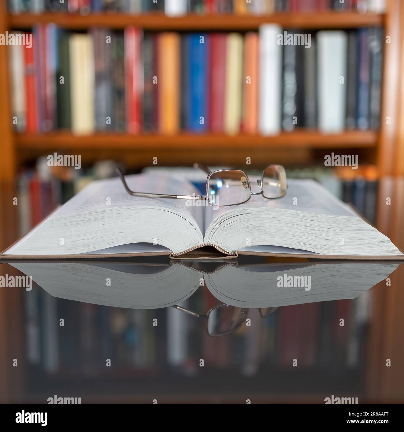 (in library) study and read hi-res stock photography and images - Alamy