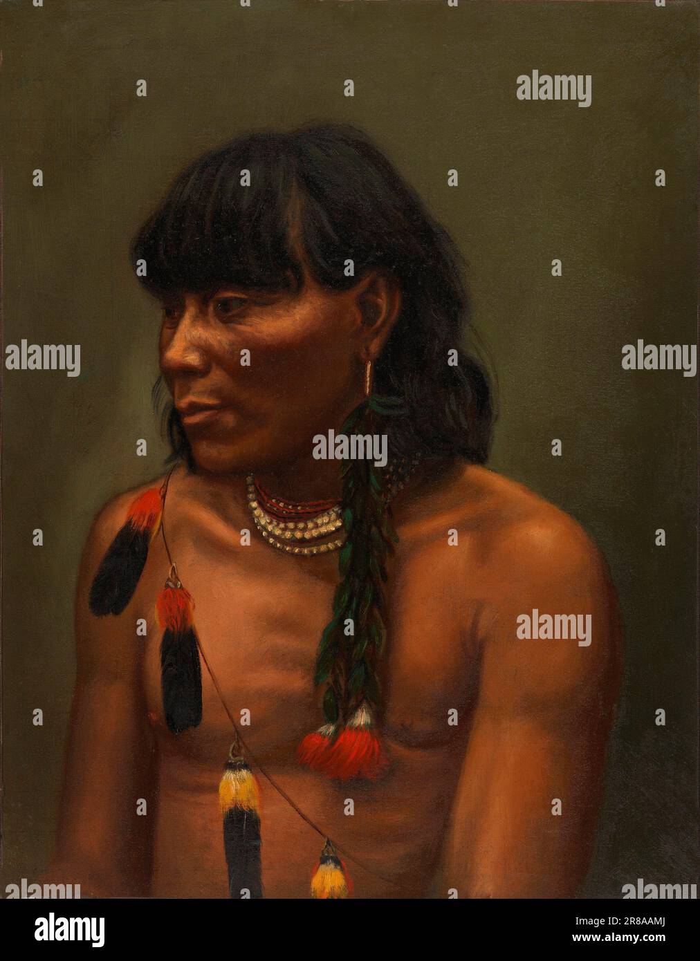 Canelo Indian ca. 1890-1892 by Unidentified (South American Stock Photo ...