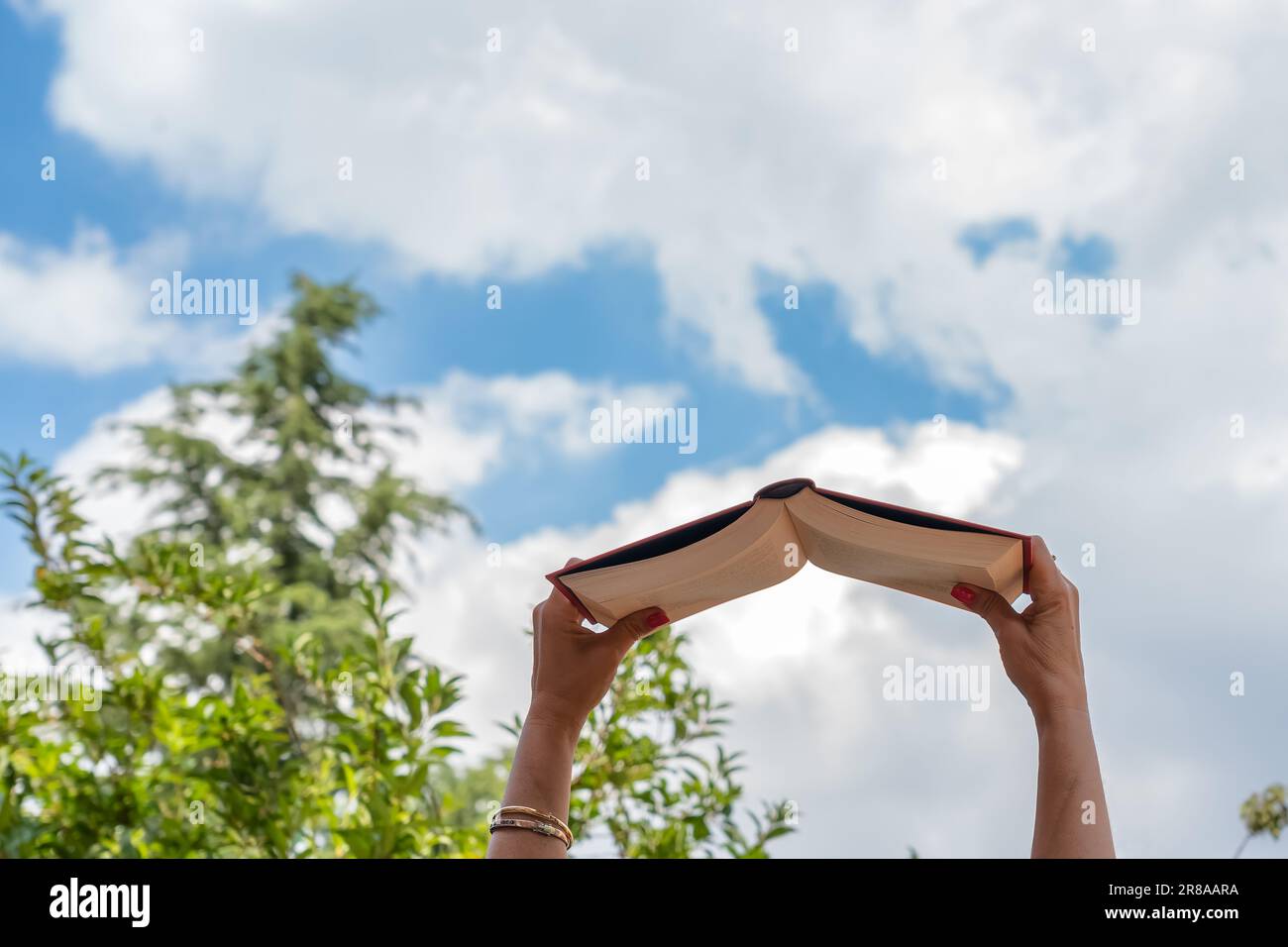 Woman's hands holding a book high with the blue sky and white clouds in ...