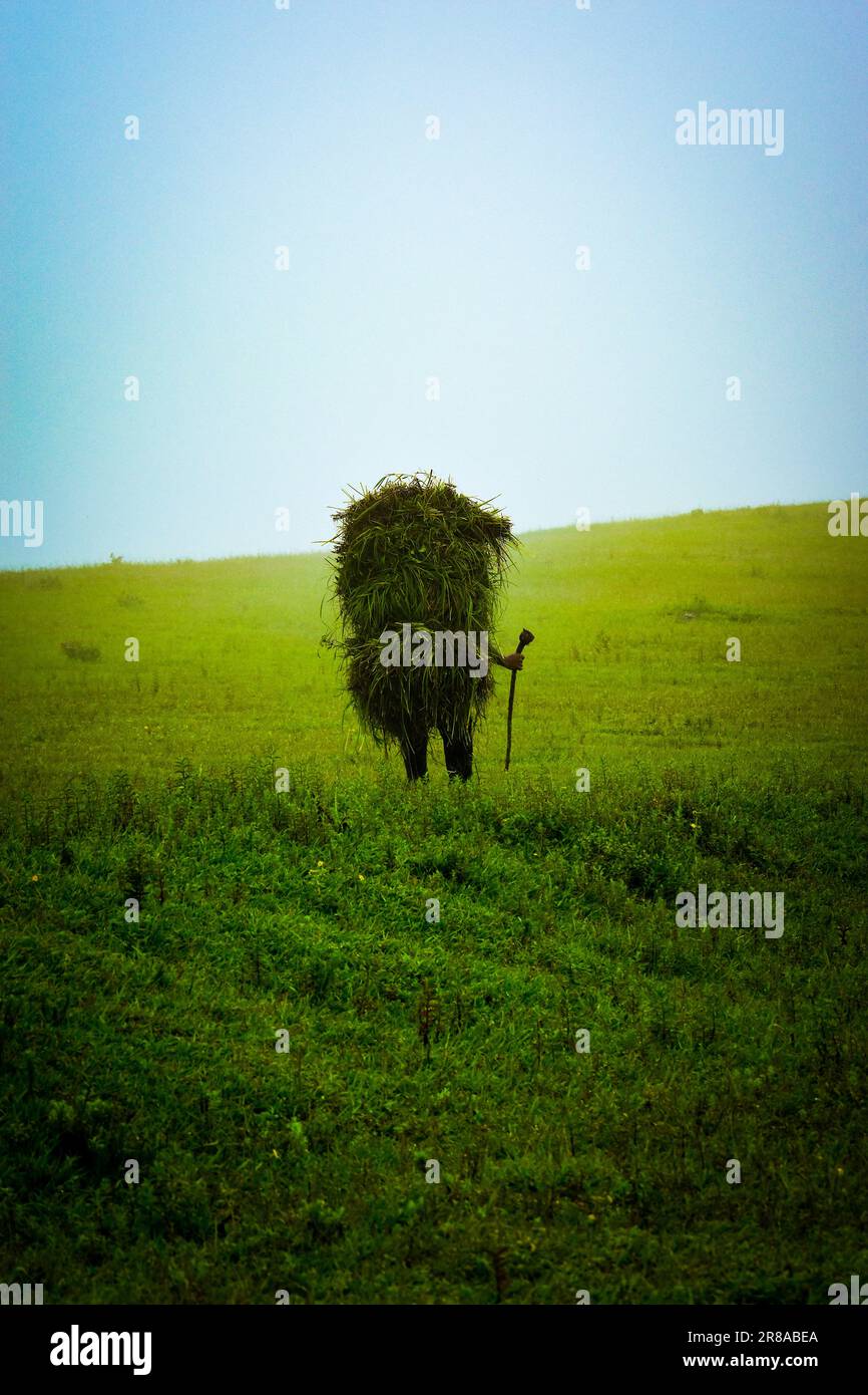 Nohkalikai an amazing and Beautiful waterfall in Meghalaya North East ...