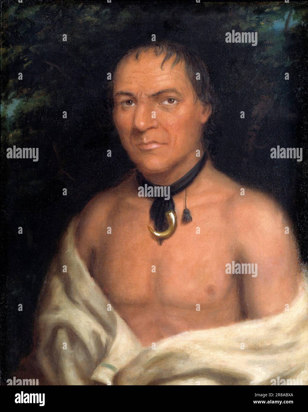 Charles bird 1785 1862 hi-res stock photography and images - Alamy