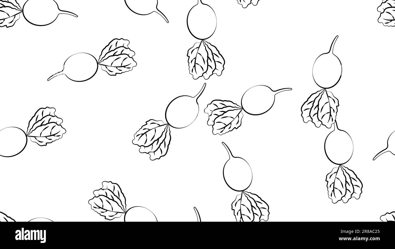 Seamless pattern with black beets isolated on white background. Vector ...