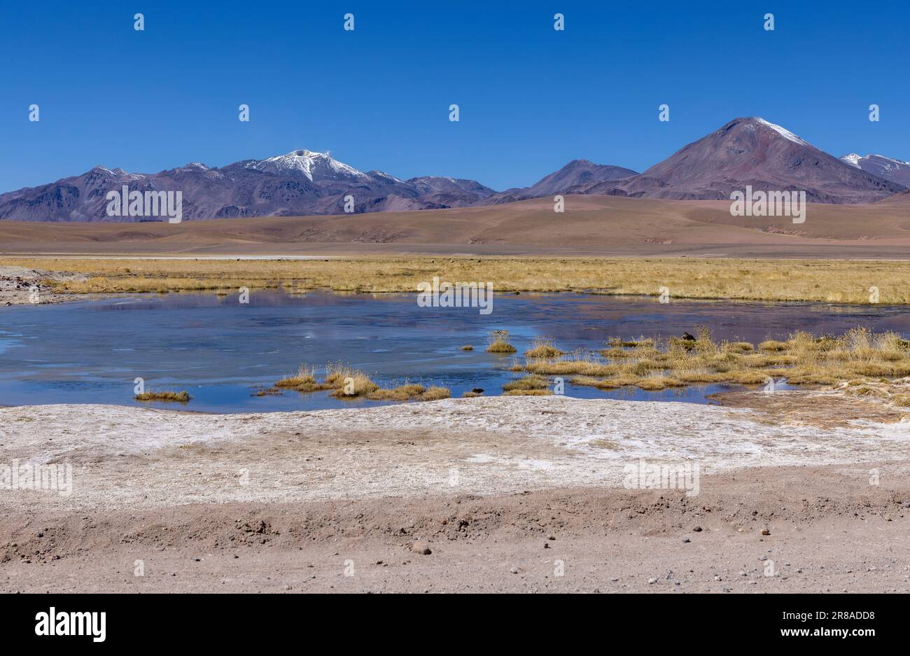 Discovering the scenic wetlands Vado Rio Putana between San Pedro de ...