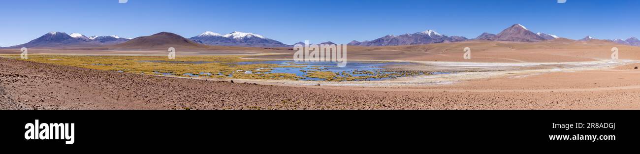 Discovering the scenic wetlands Vado Rio Putana between San Pedro de ...