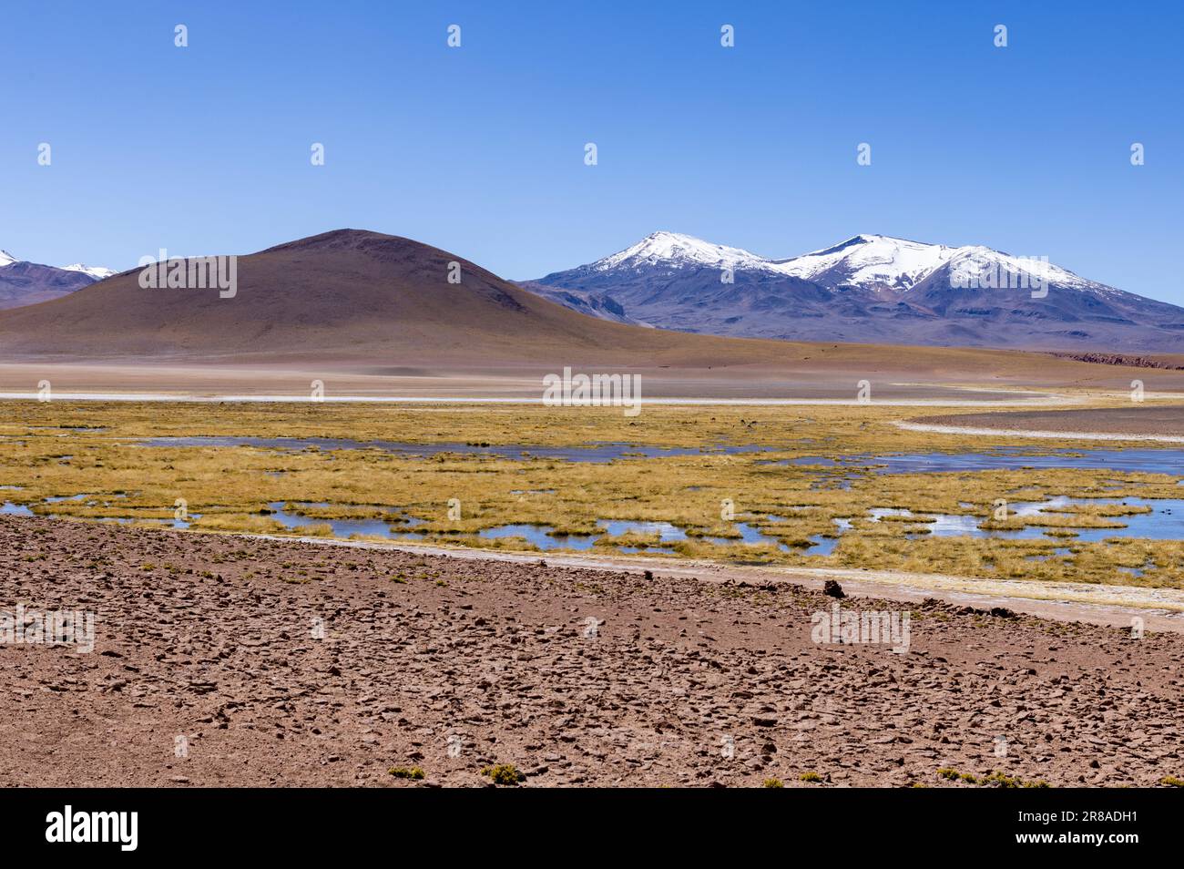 Discovering the scenic wetlands Vado Rio Putana between San Pedro de ...