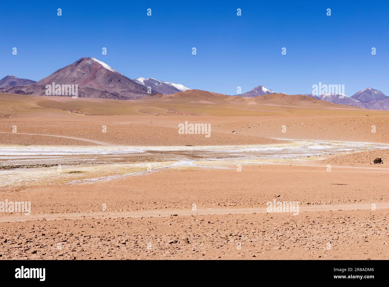 Discovering the scenic wetlands Vado Rio Putana between San Pedro de ...