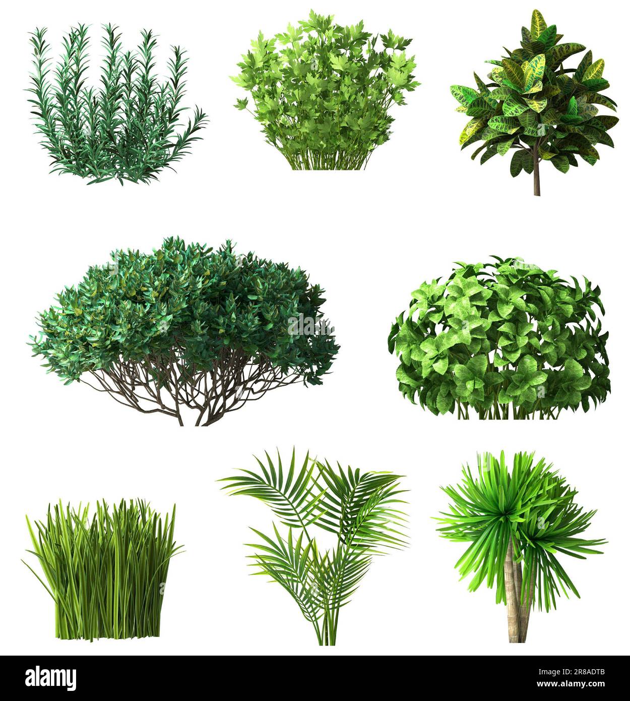 Shrubs Cut Out Stock Images & Pictures - Alamy