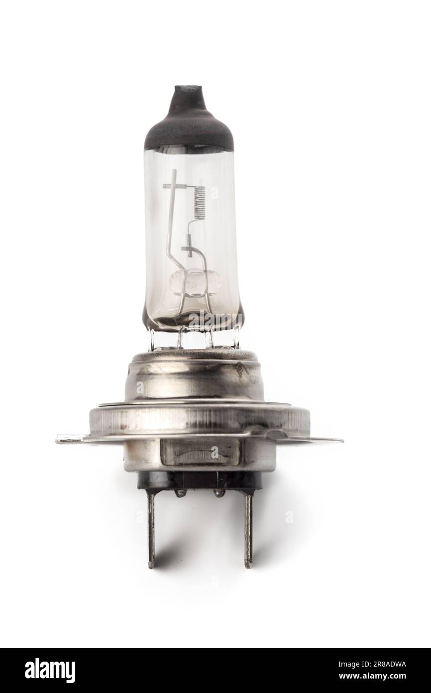 car lightbulb on white background Stock Photo - Alamy