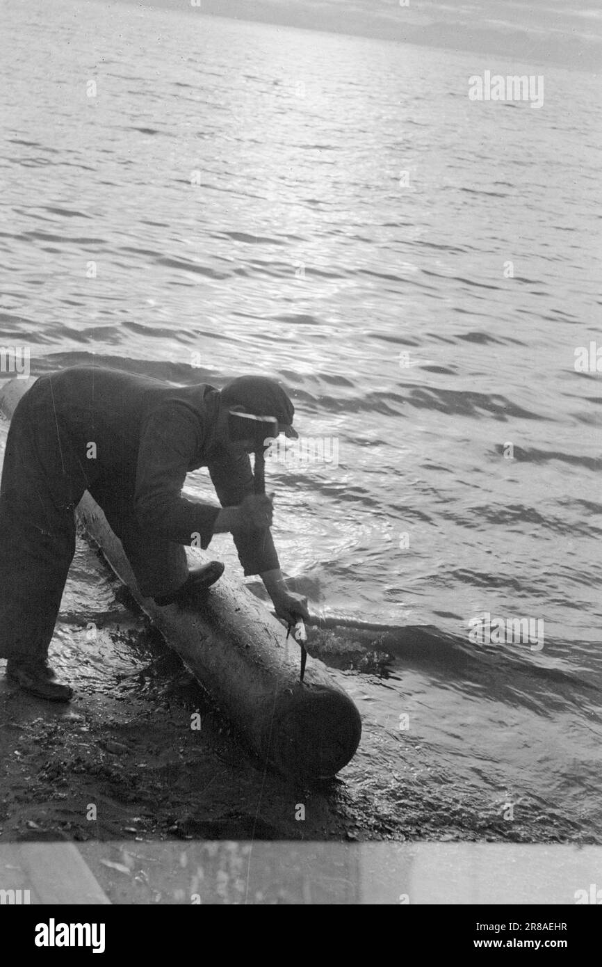 Actual 18-1947: SvalbardNorwegian outpost in the Arctic Ocean Currently ...