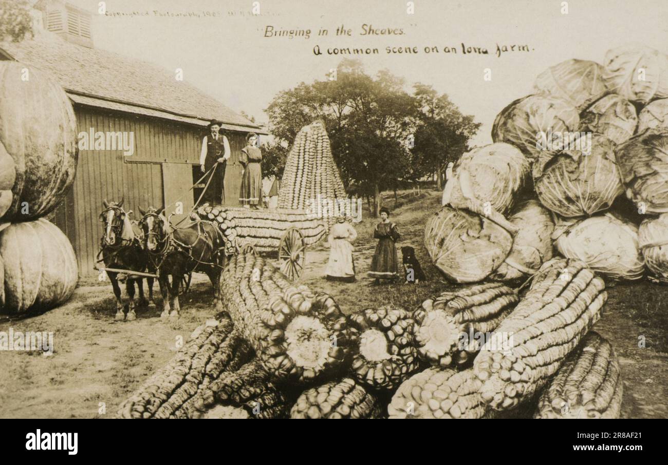 Bringing in the Sheaves: A common scene on an Iowa Farm ca. 1910s by W ...