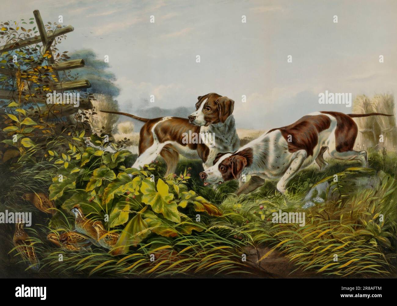 American Field Sports. "On a Point." 1857 by Charles Parsons, born ...