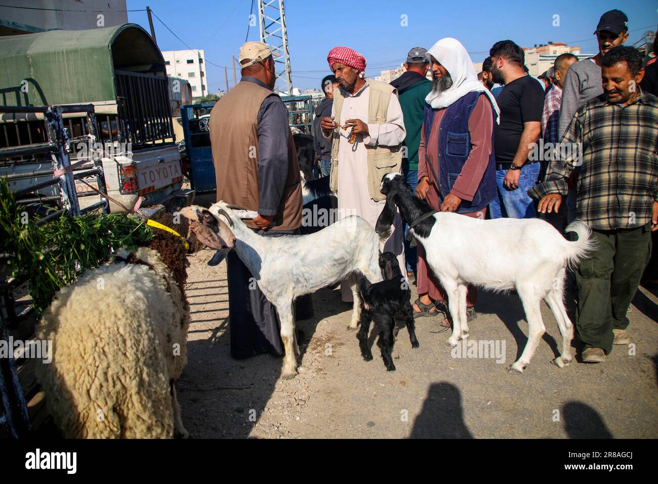 June 20, 2023: Gaza, Palestine. 20 June 2023. Palestinians purchase ...