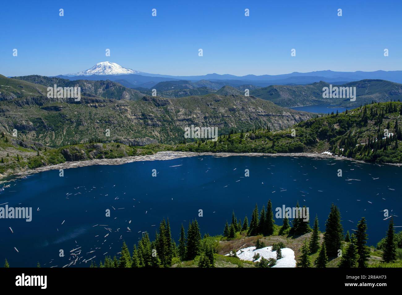 View of Mt Adams from Mt Saint Helens, Washington Stock Photo - Alamy