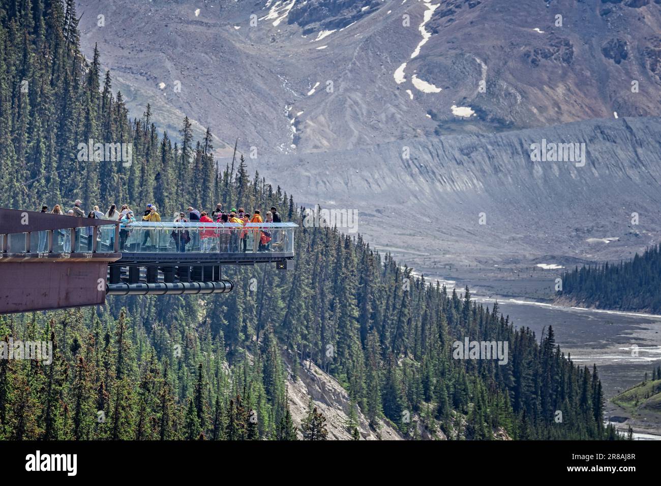 Glass floor floored hi-res stock photography and images - Alamy