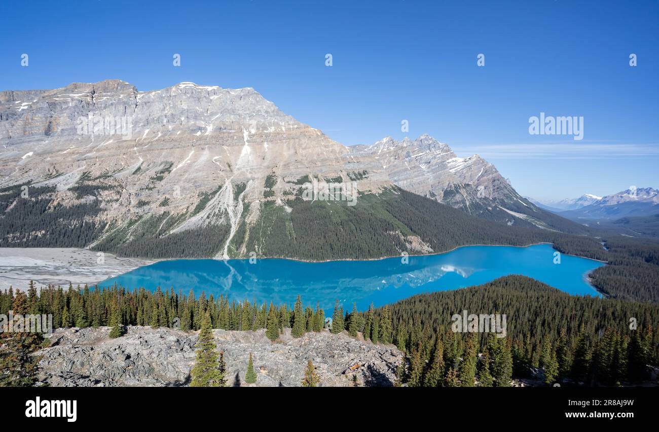 Panoramic landscape of Peyto Lake in Banff National Park, Alberta ...