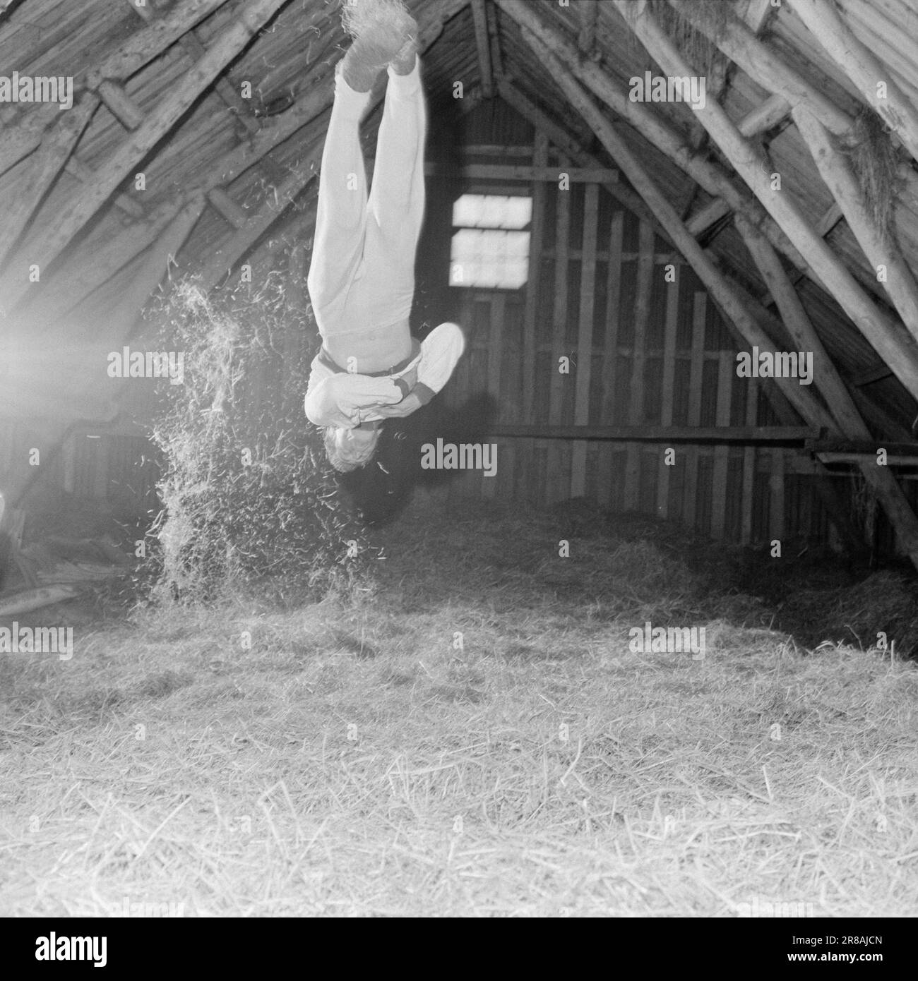 Current 21-6-1960: Viljebunt from Jæren Norway's only gymnastics ...