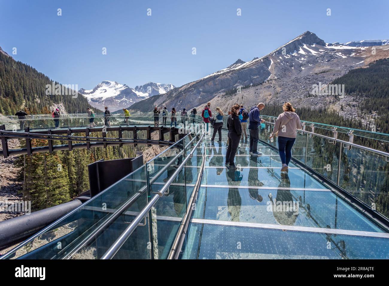 Tourists standing on the glass floored observation deck of the Columbia ...