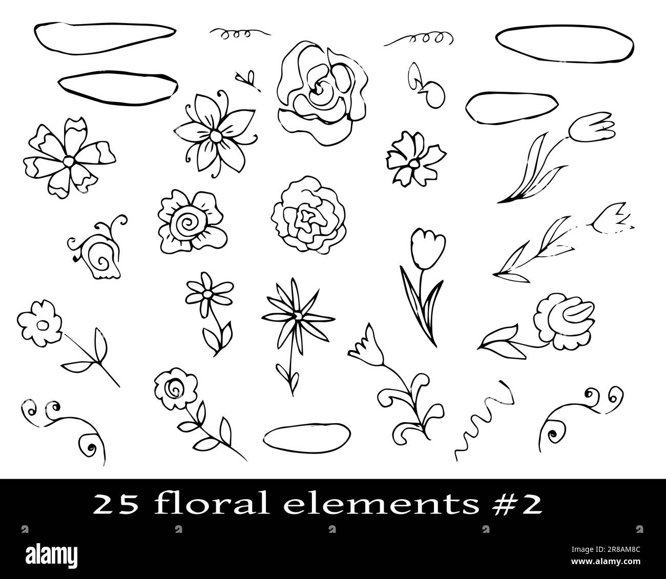 set of floral elements with flowers and frames Stock Vector Image & Art ...