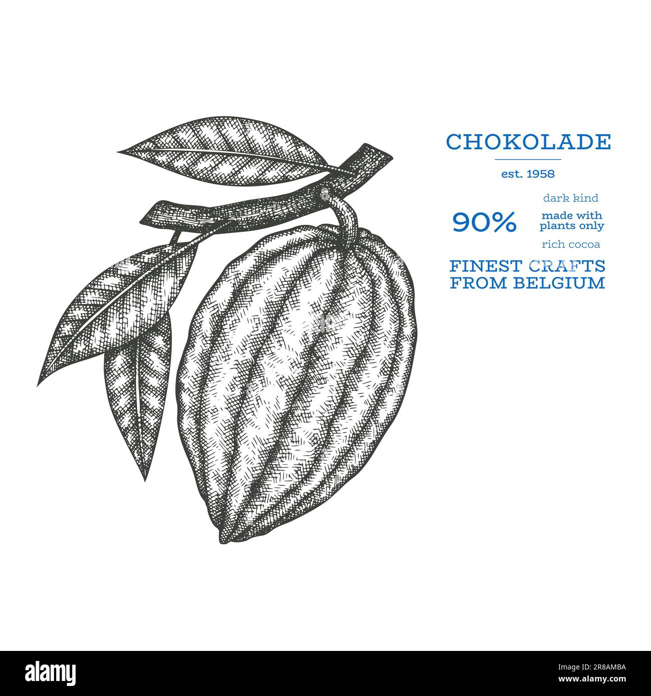 Cocoa image. Chocolate cocoa beans background. Vector hand drawn ...