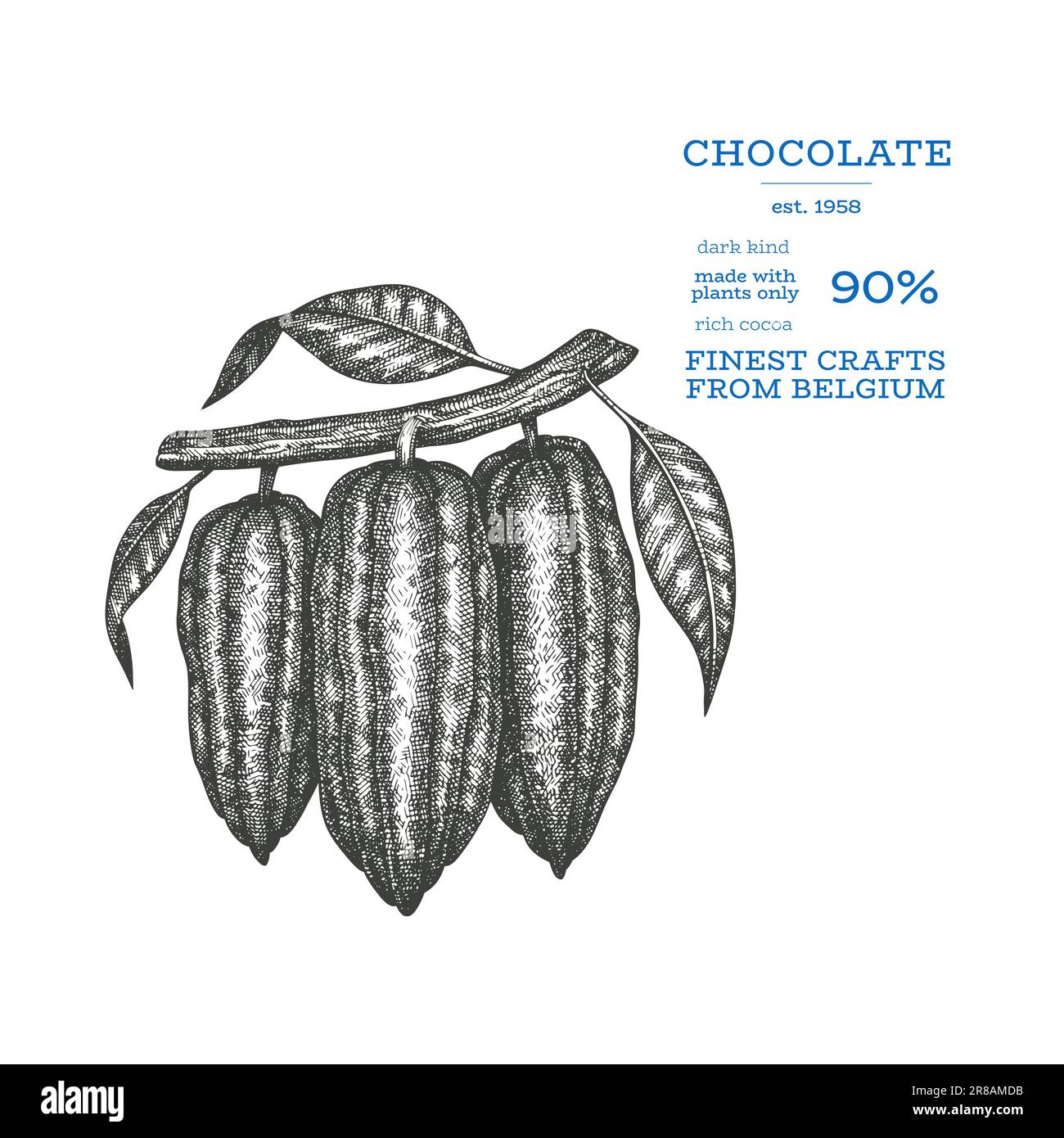 Cocoa image. Chocolate cocoa beans background. Vector hand drawn ...