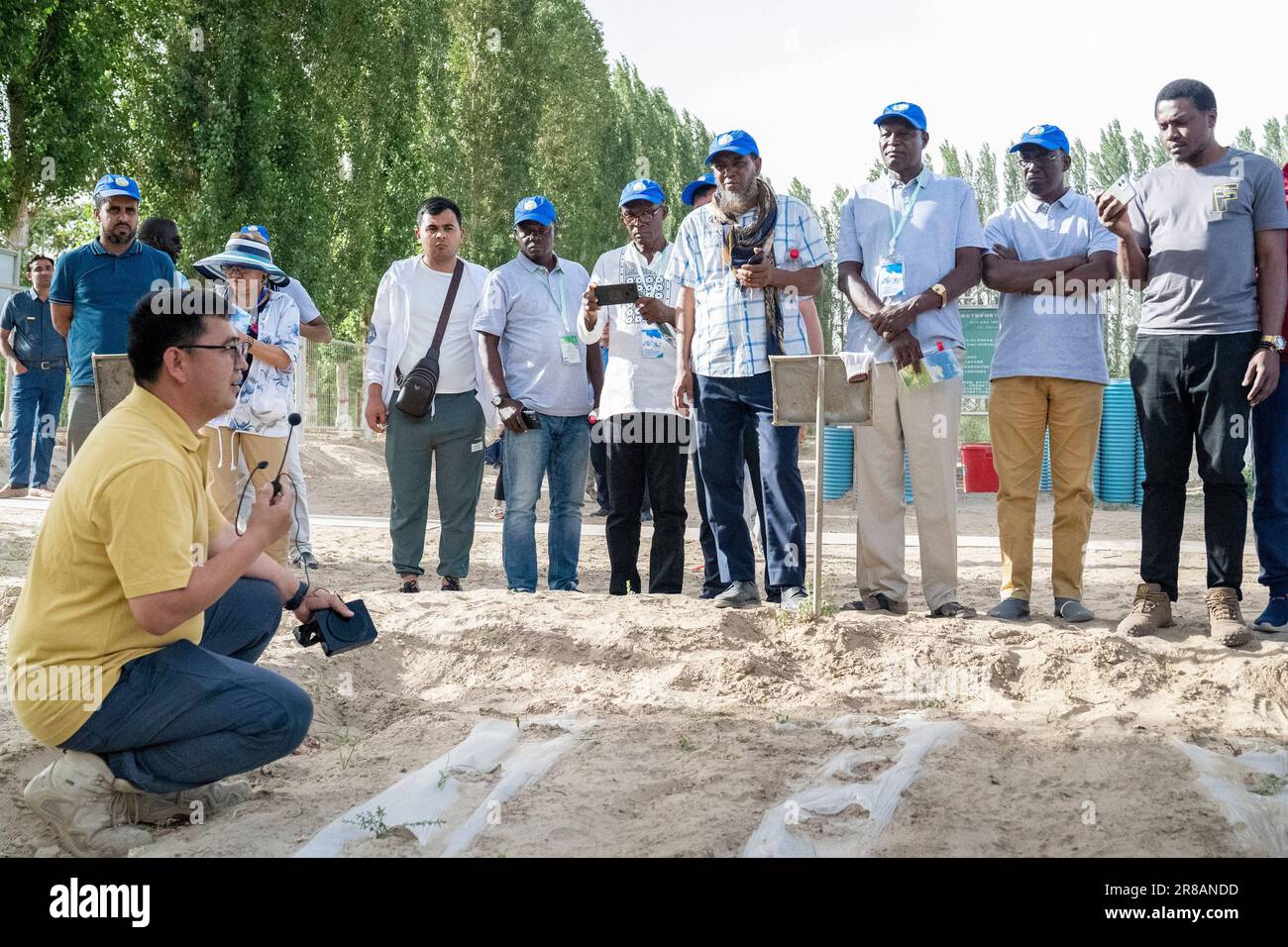 Beijing, China. 13th June, 2023. A Chinese expert introduces desert ...