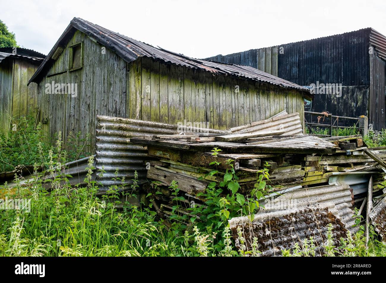 old and decaying rickety wooden shed slowly falling down and piles of ...
