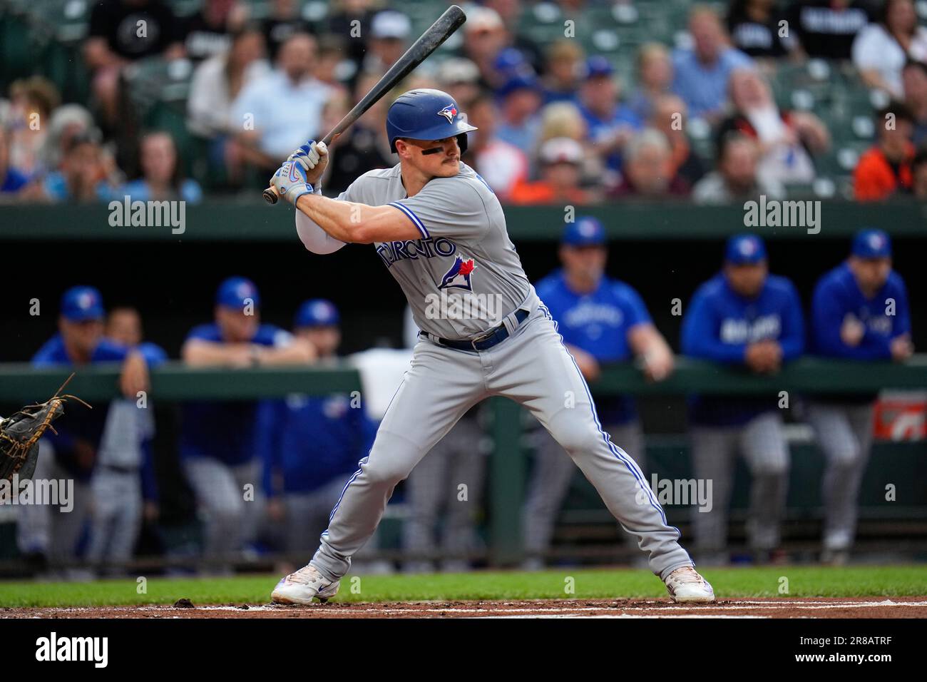 Toronto Blue Jays' Matt Chapman during an at bat against the Toronto ...