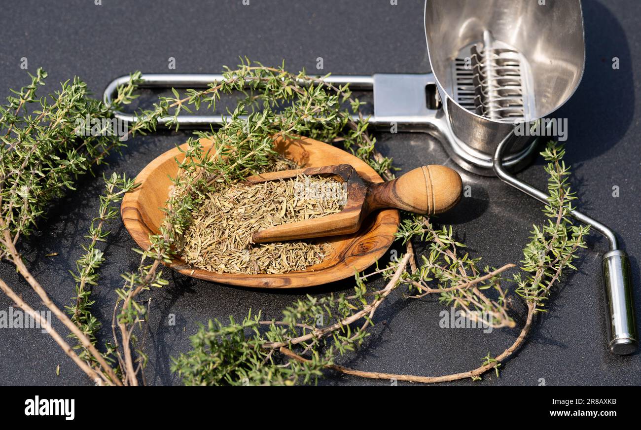 dried and fresh Thymus vulgaris delicious kitchen herbs Stock Photo - Alamy