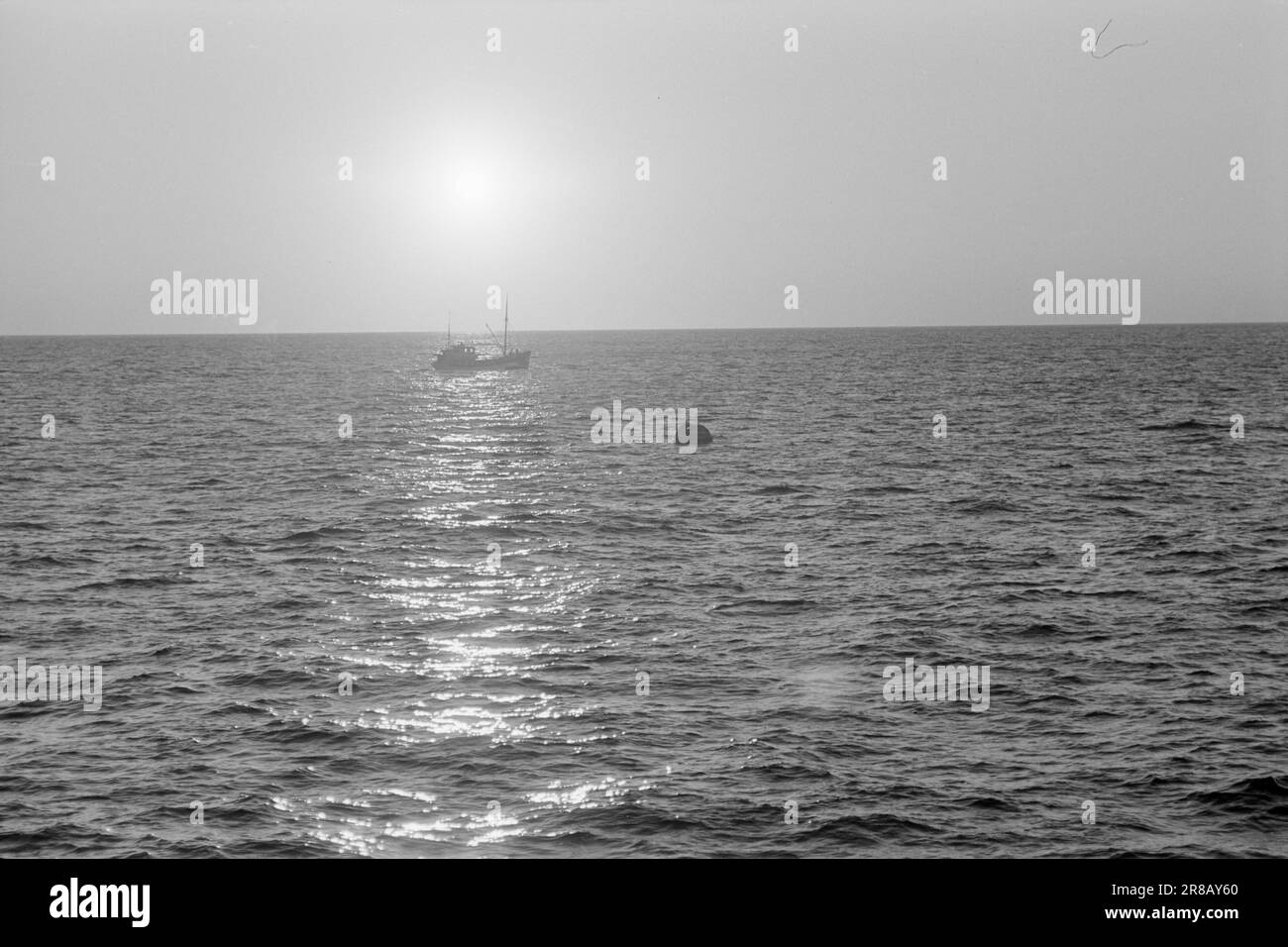 Current 15-6-1960 : When ships go down Aktuell's employee tries out new ...