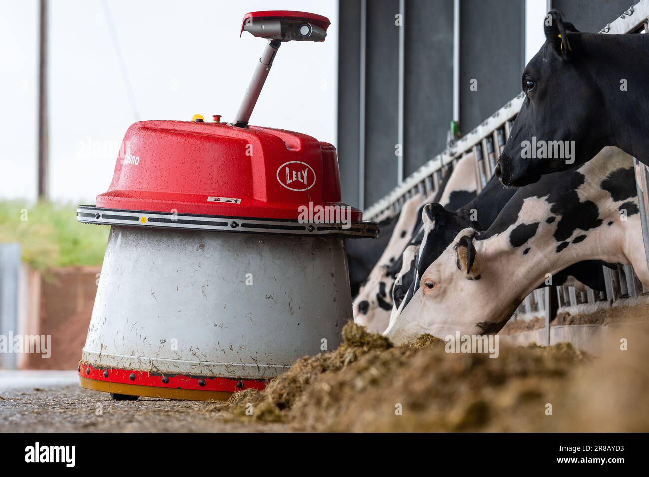 Lely Juno, a robot designed to push silage in front of cattle as they feed. Dumfries, UK Stock ...