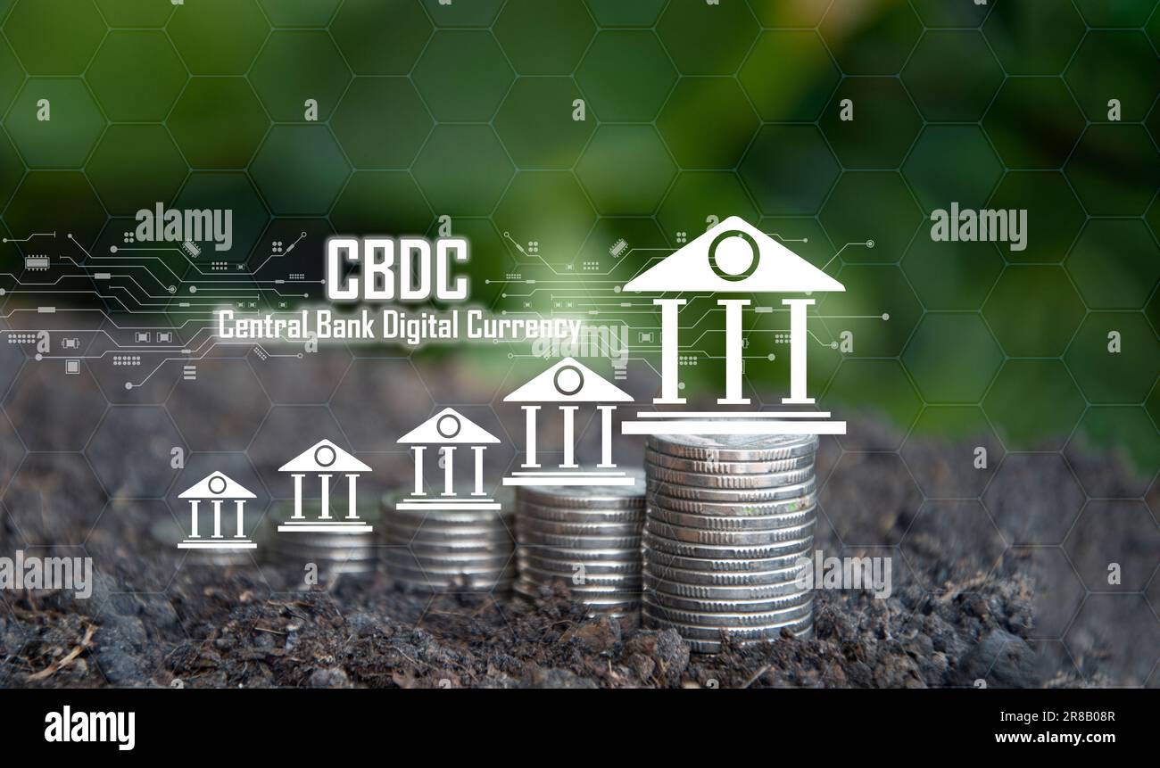 A central bank digital currency, CBDC, is a new type of currency that ...