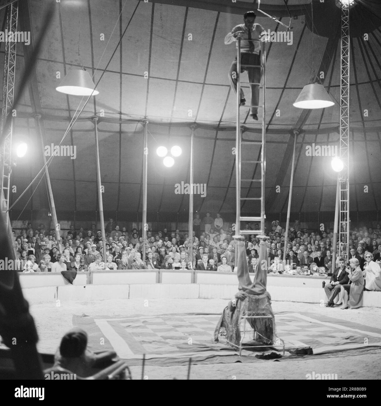 Current 38-7-1960: Simsalabim at Ola Narr Circus Arnardo held a ...