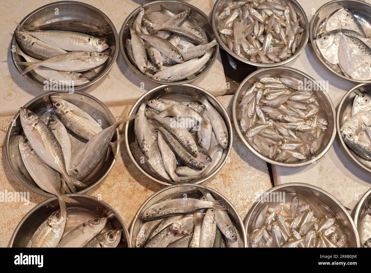 Fresh Fish Catch in Trays at Asian Market Stock Photo - Alamy