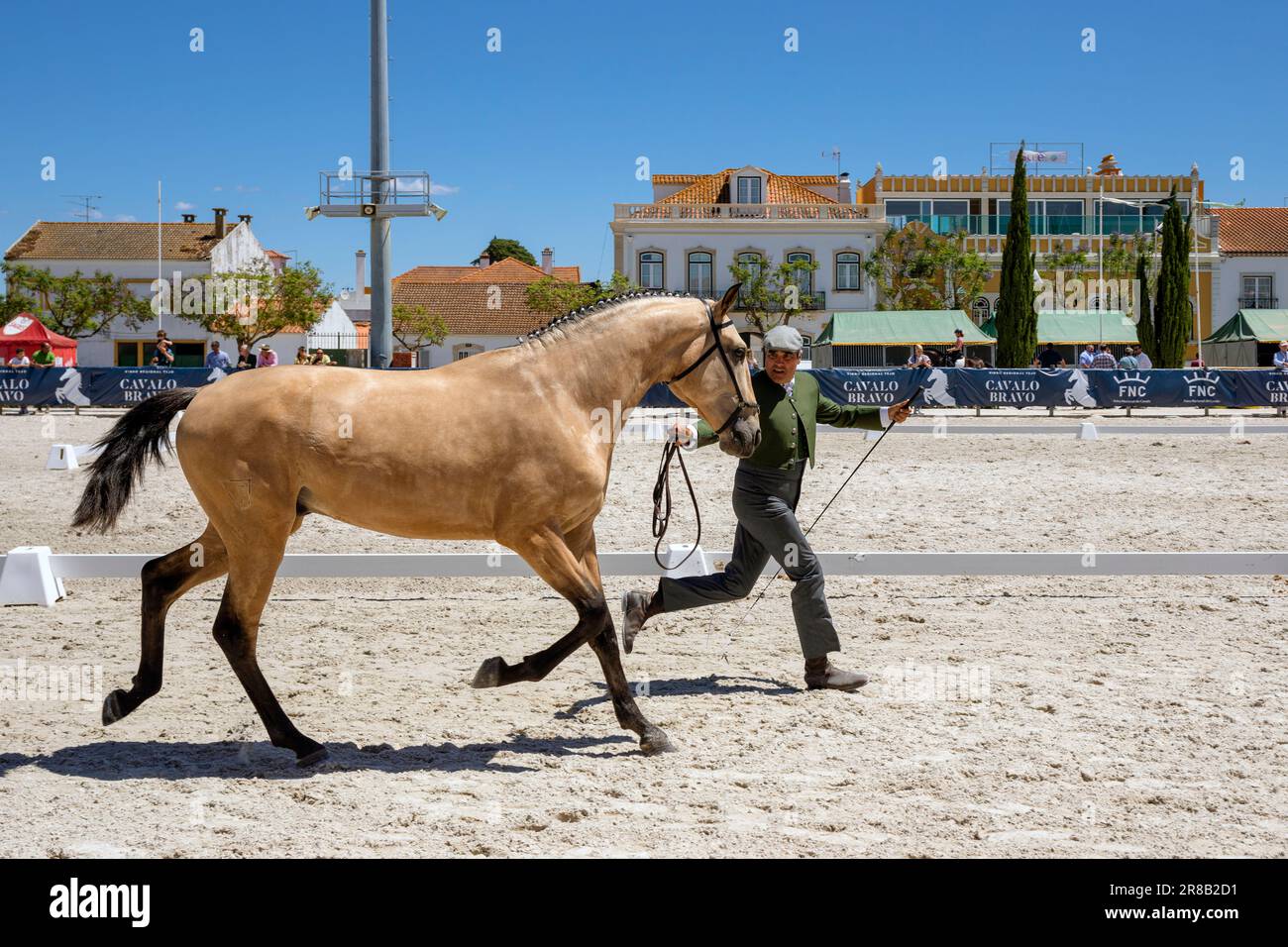 Europe, Portugal, Alentejo Region, Golega, Man in traditional costume ...