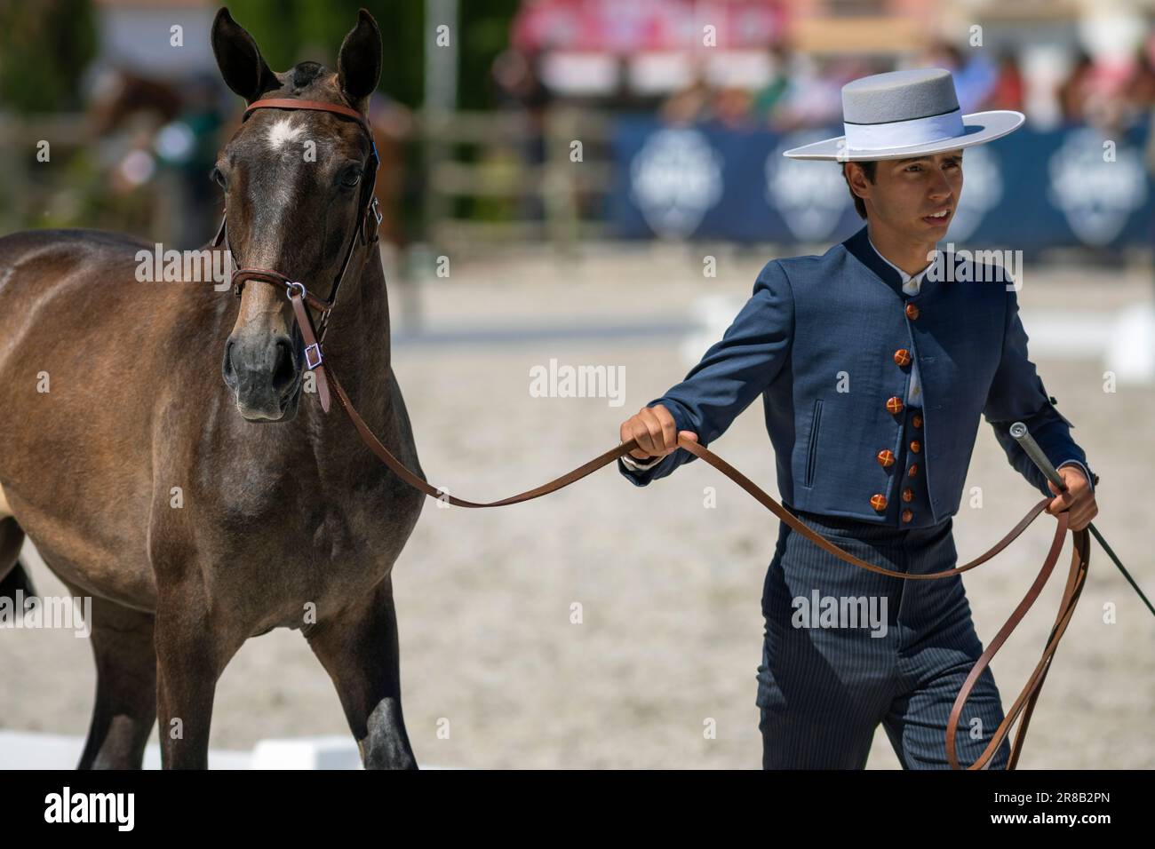 Europe, Portugal, Alentejo Region, Golega, Man in traditional costume ...