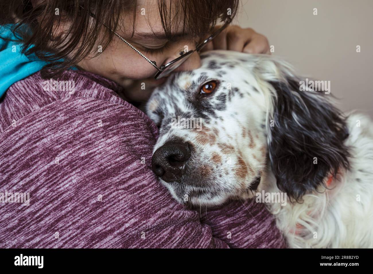 Young smiling woman hugging english setter dog in home interior close ...