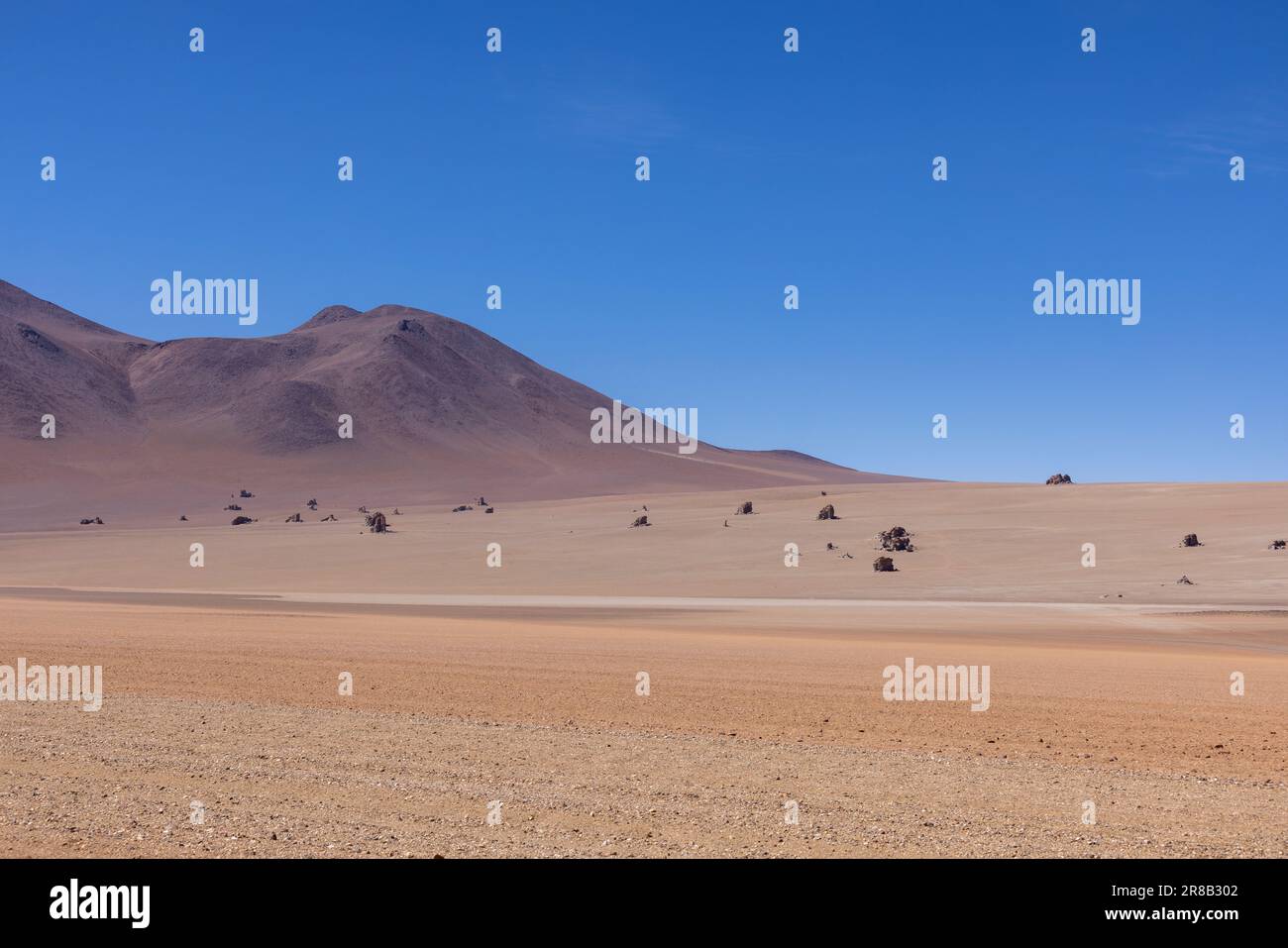 Picturesque Salvador Dali Desert, just one natural sight while ...