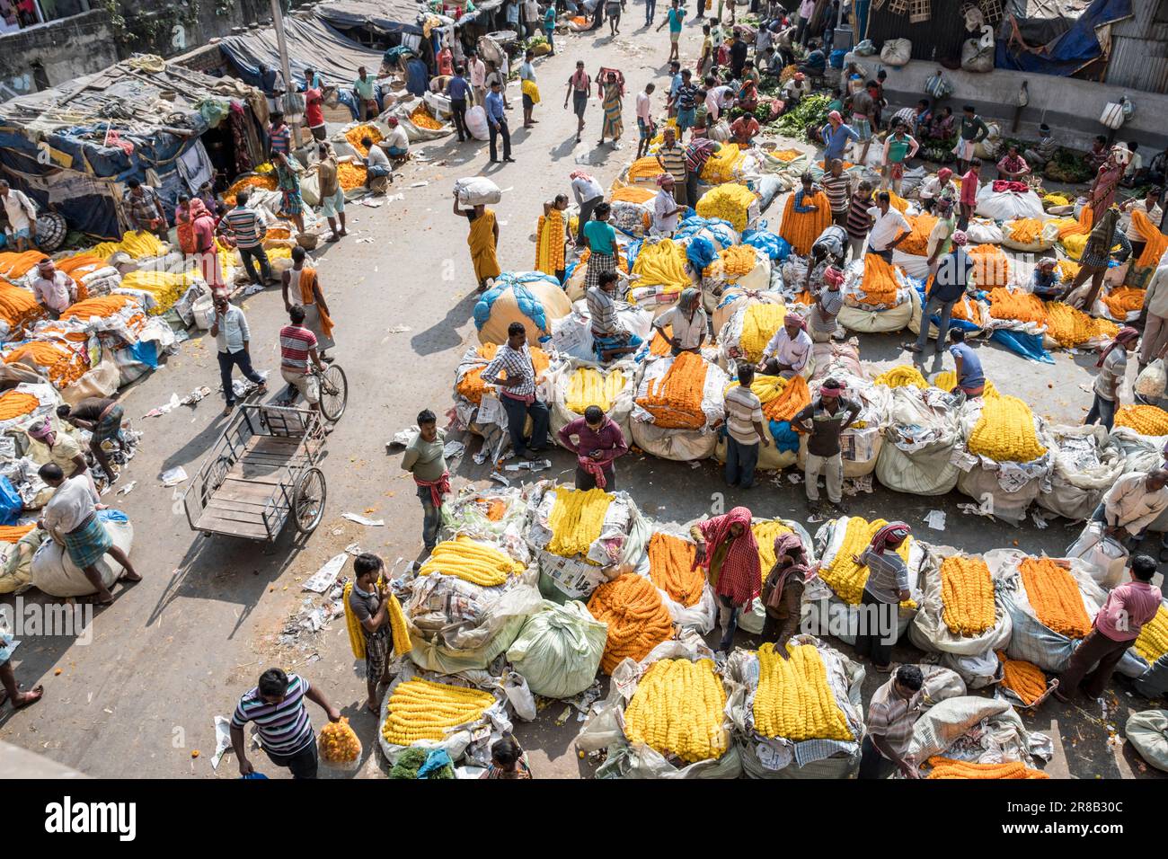 The Mallick Ghat Flower Market in Kolkata, India Stock Photo - Alamy