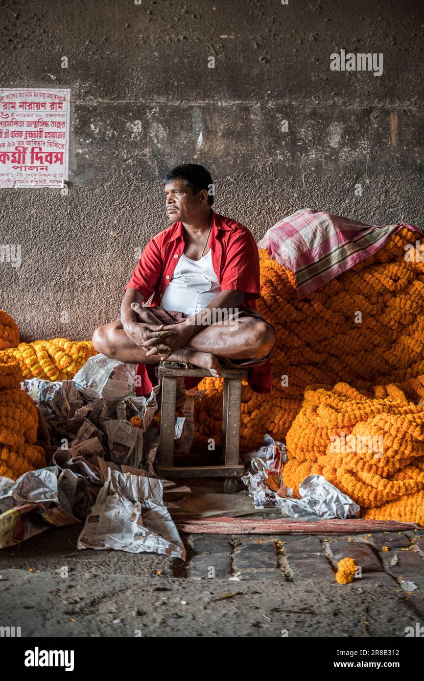 A Marigold seller at the Mallick Ghat Flower Market in Kolkata, India ...
