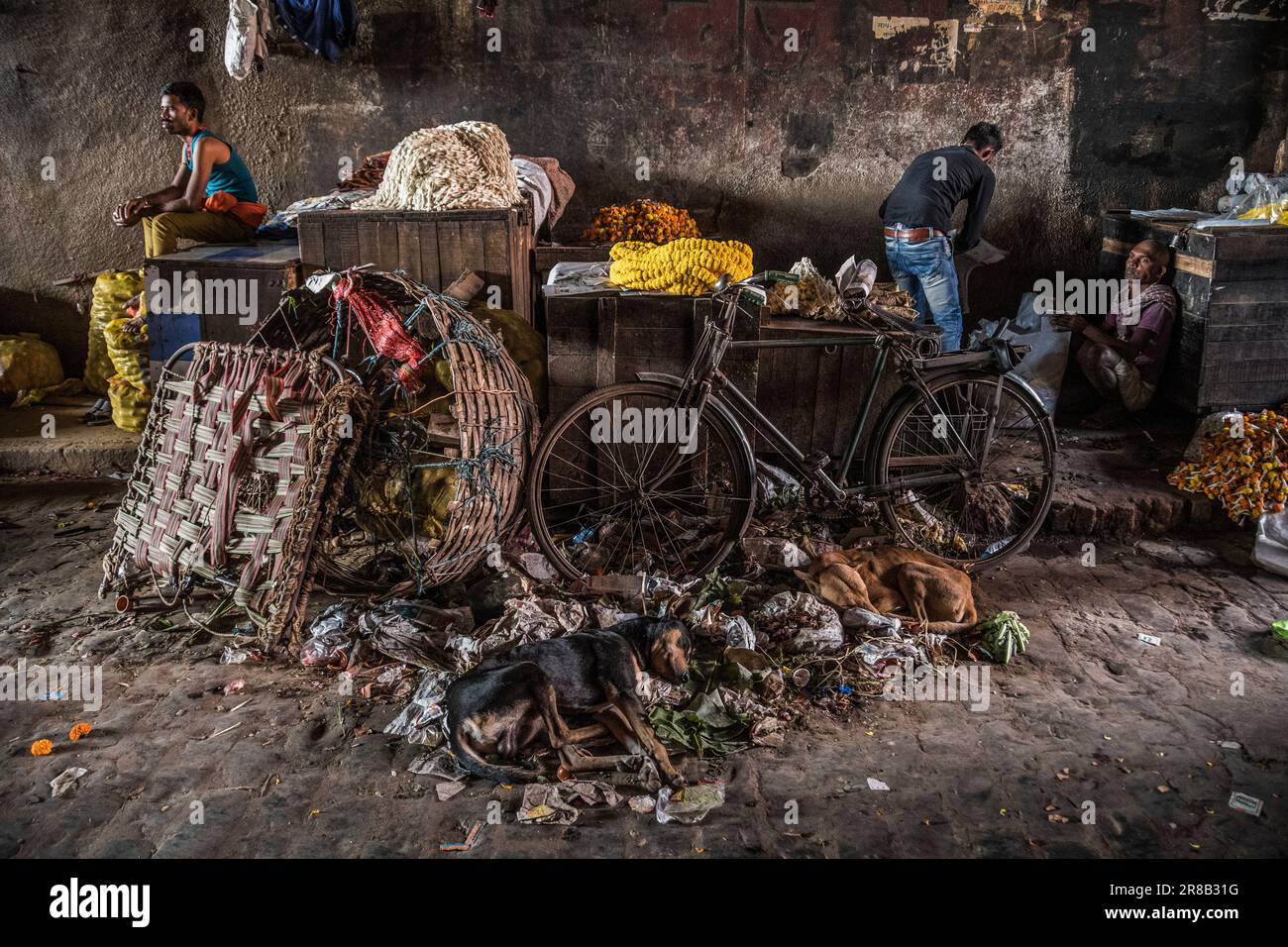 A traders stall at the Mallick Ghat Flower Market in Kolkata, India ...