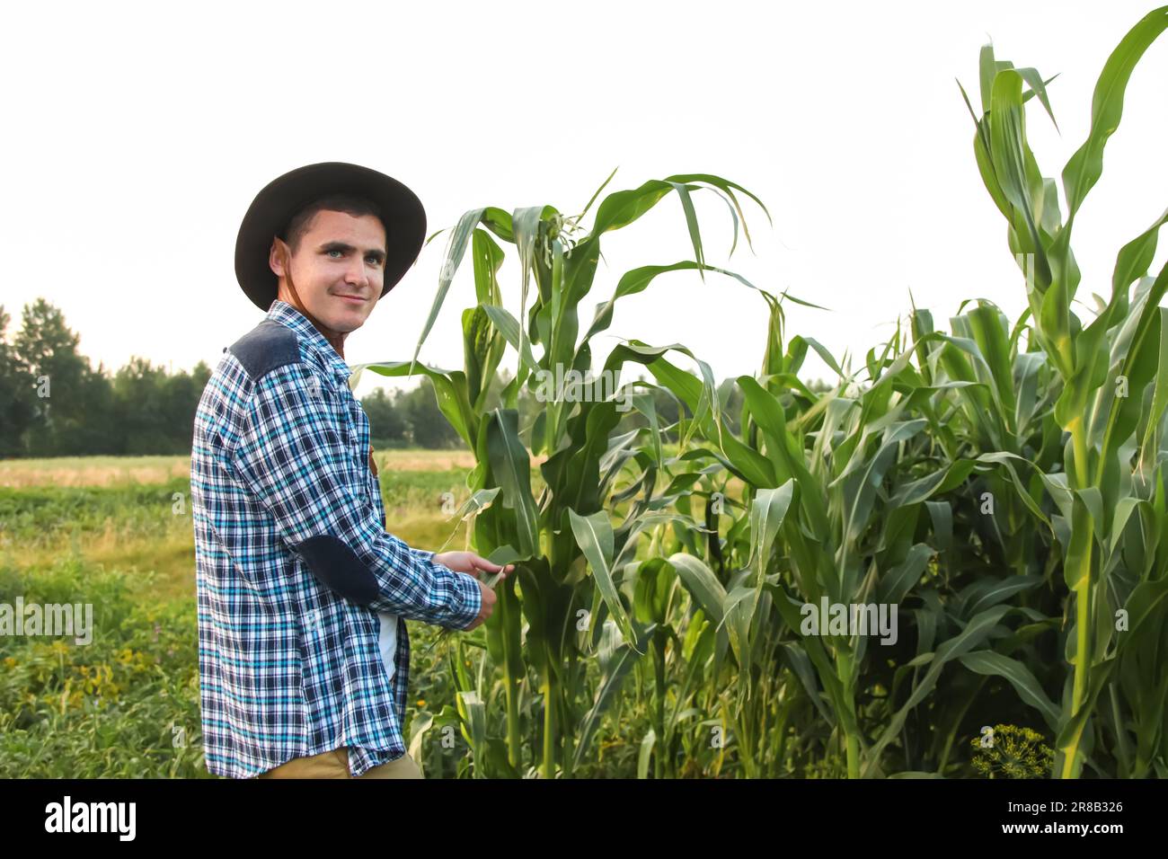 Farmer on the corn field. Portrait of young farmer standing in corn ...