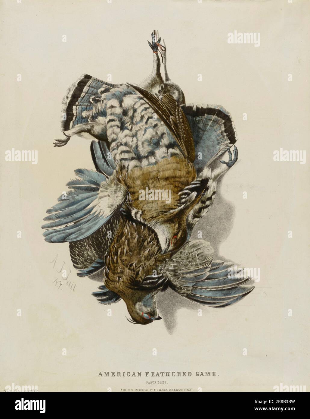 Nathaniel partridge hi-res stock photography and images - Alamy