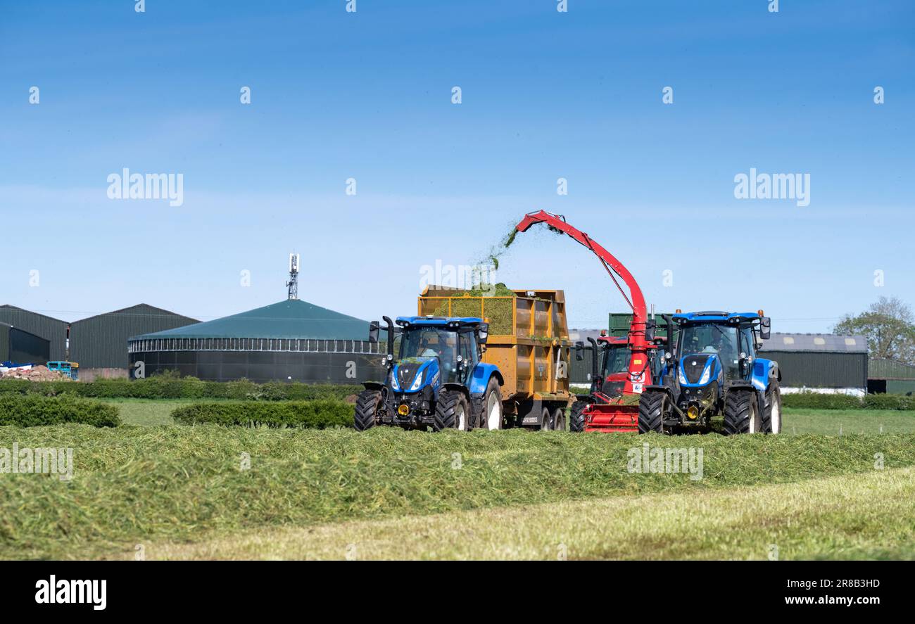 Making first cut silage on a dairy farm in early summer in the Eden ...