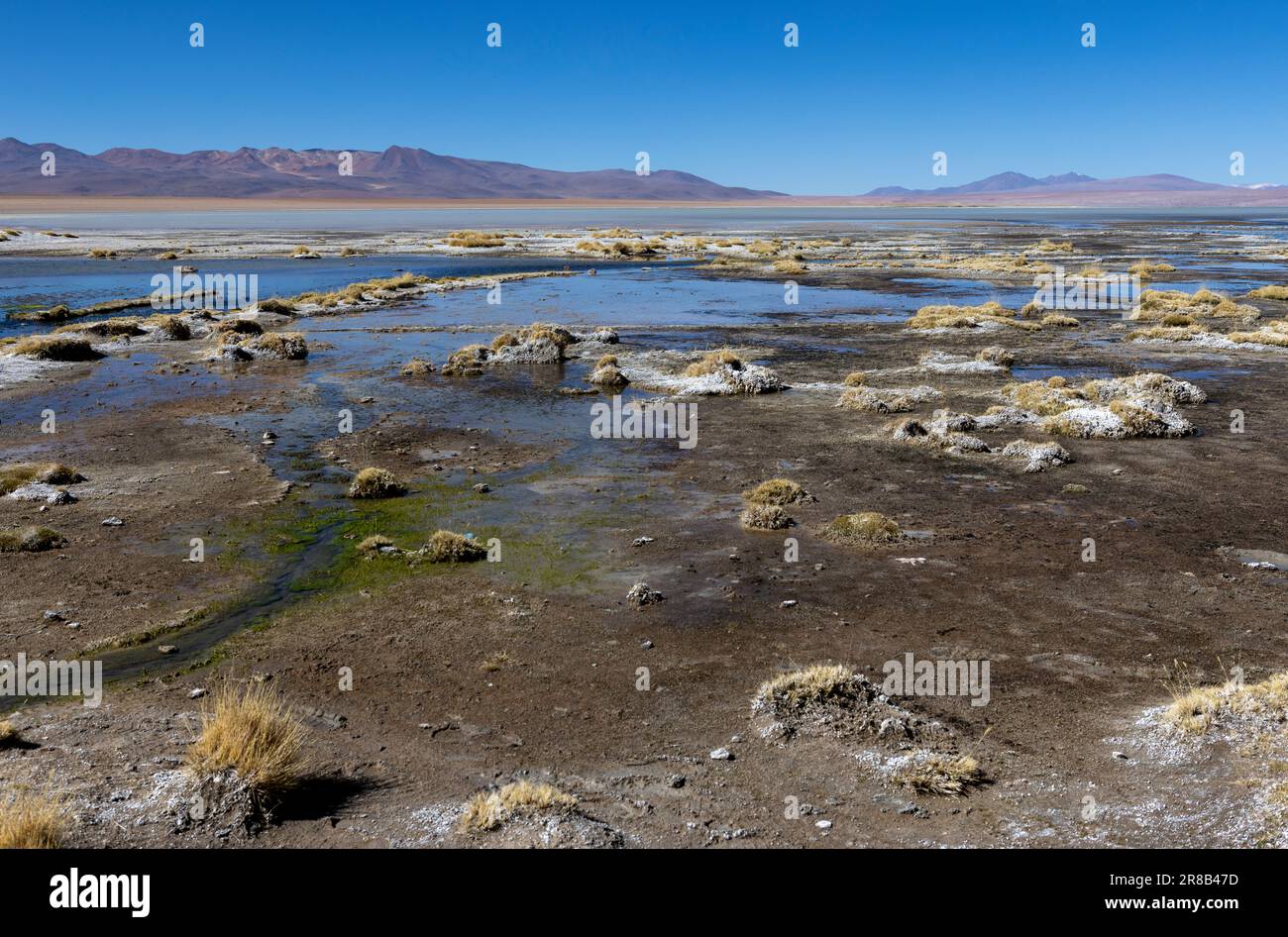 Laguna Chalviri, just one natural sight while traveling the scenic ...