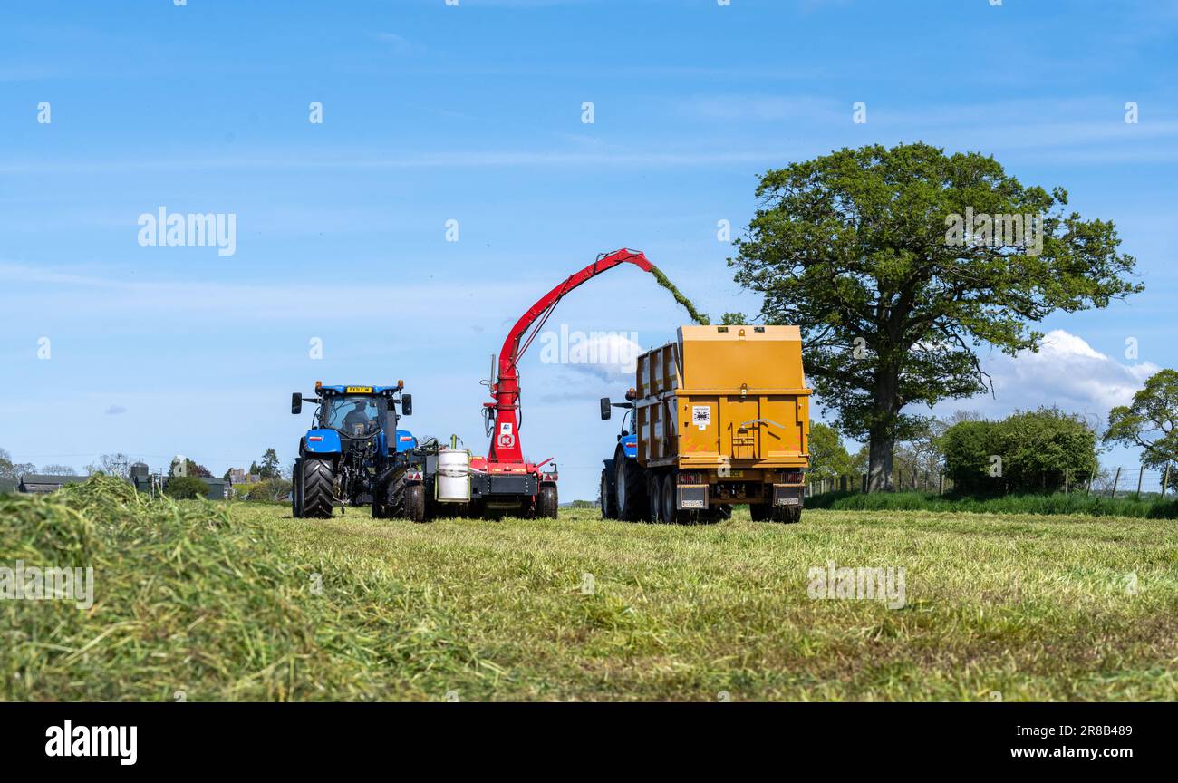 Making first cut silage on a dairy farm in early summer in the Eden ...