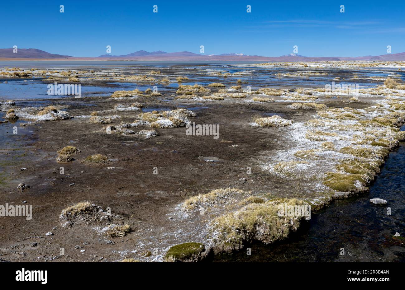 Laguna Chalviri, just one natural sight while traveling the scenic ...