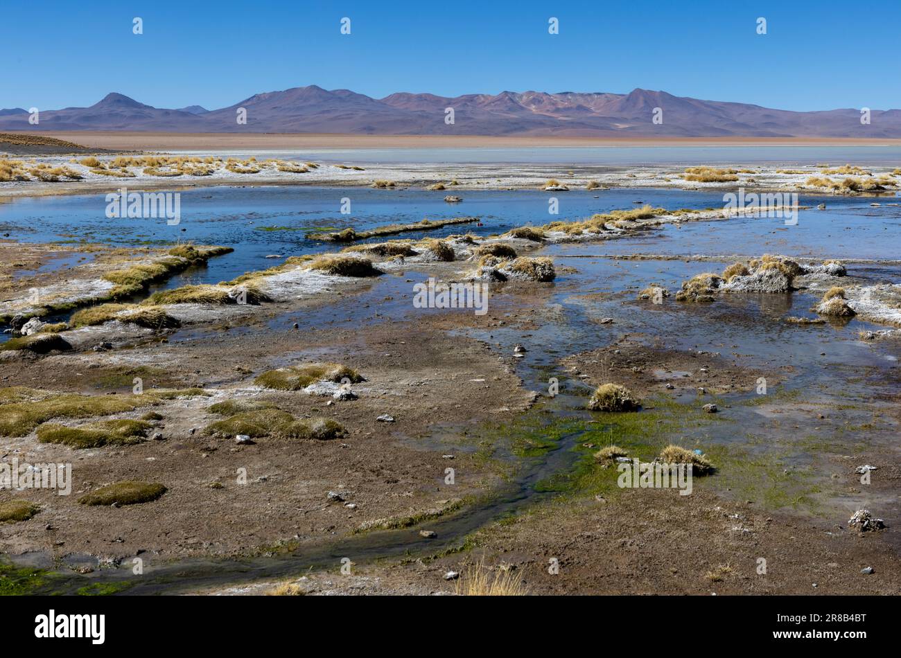 Laguna Chalviri, just one natural sight while traveling the scenic ...