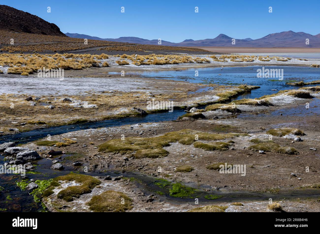 Laguna Chalviri, just one natural sight while traveling the scenic ...