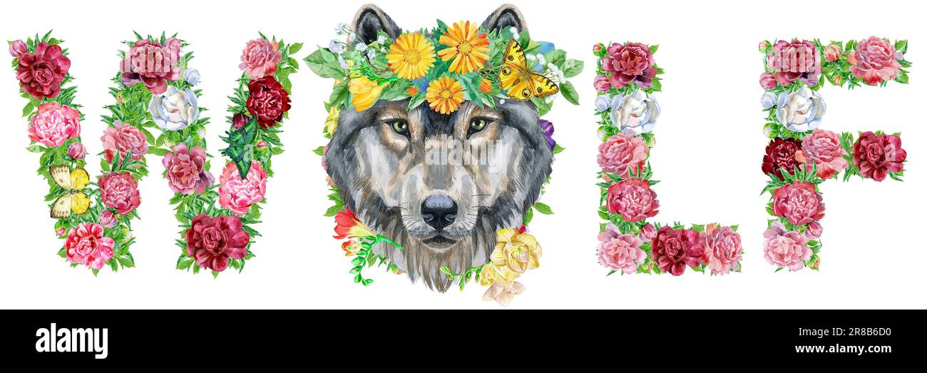 Word WOLF of watercolor flowers, isolated hand drawn on a white ...